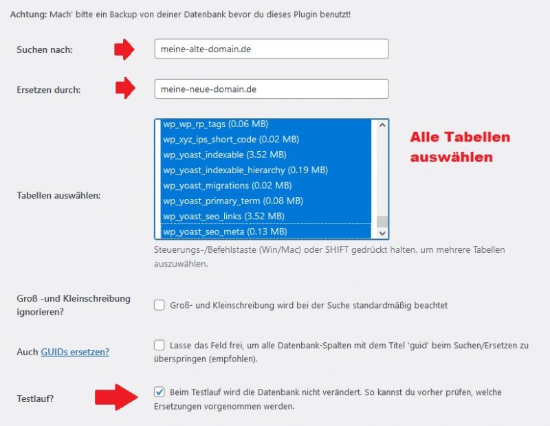 Wordpress: Domain ändern - So schnell gehts! - Blogseite.com